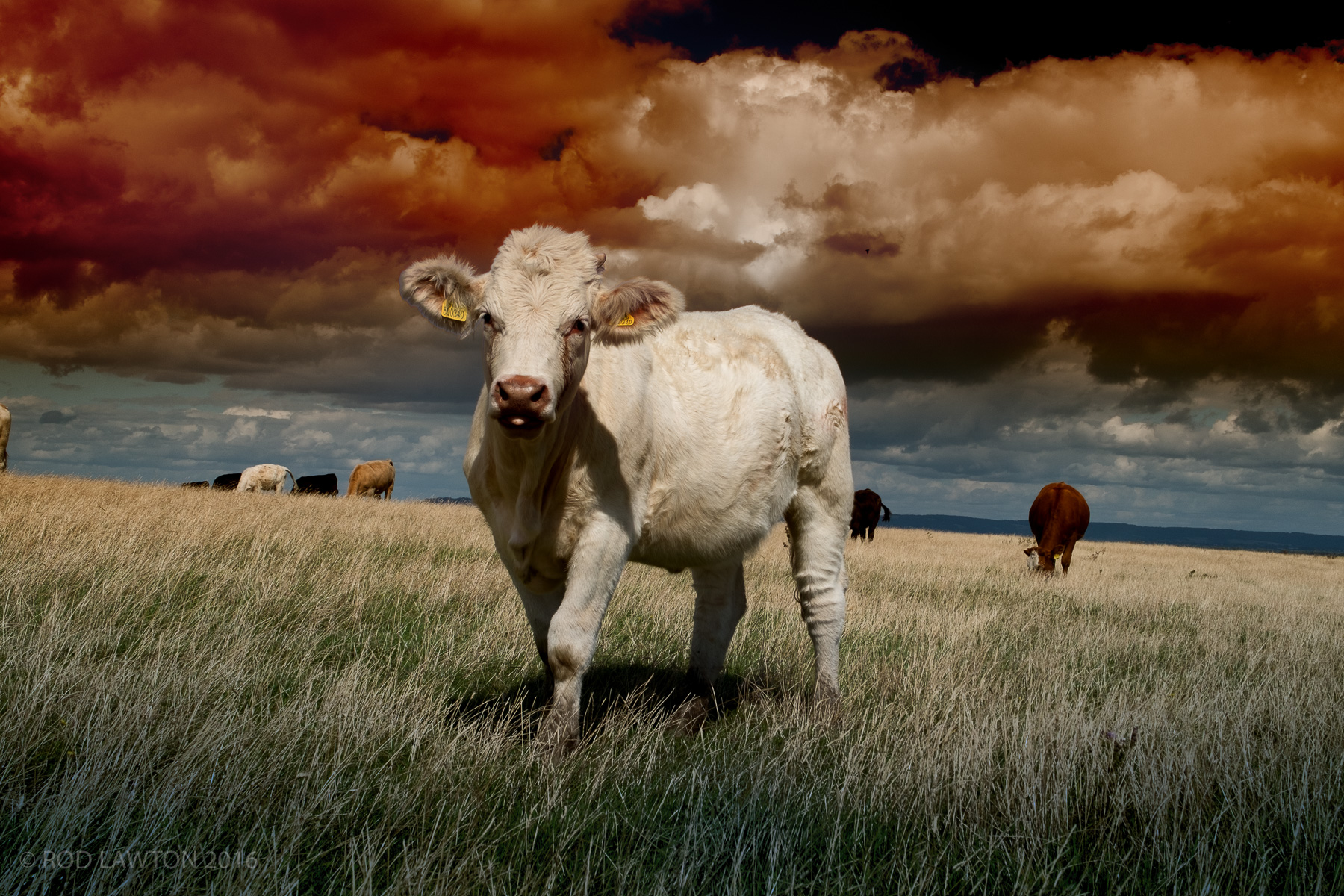 10 tips for using digital graduated filters - Life after Photoshop