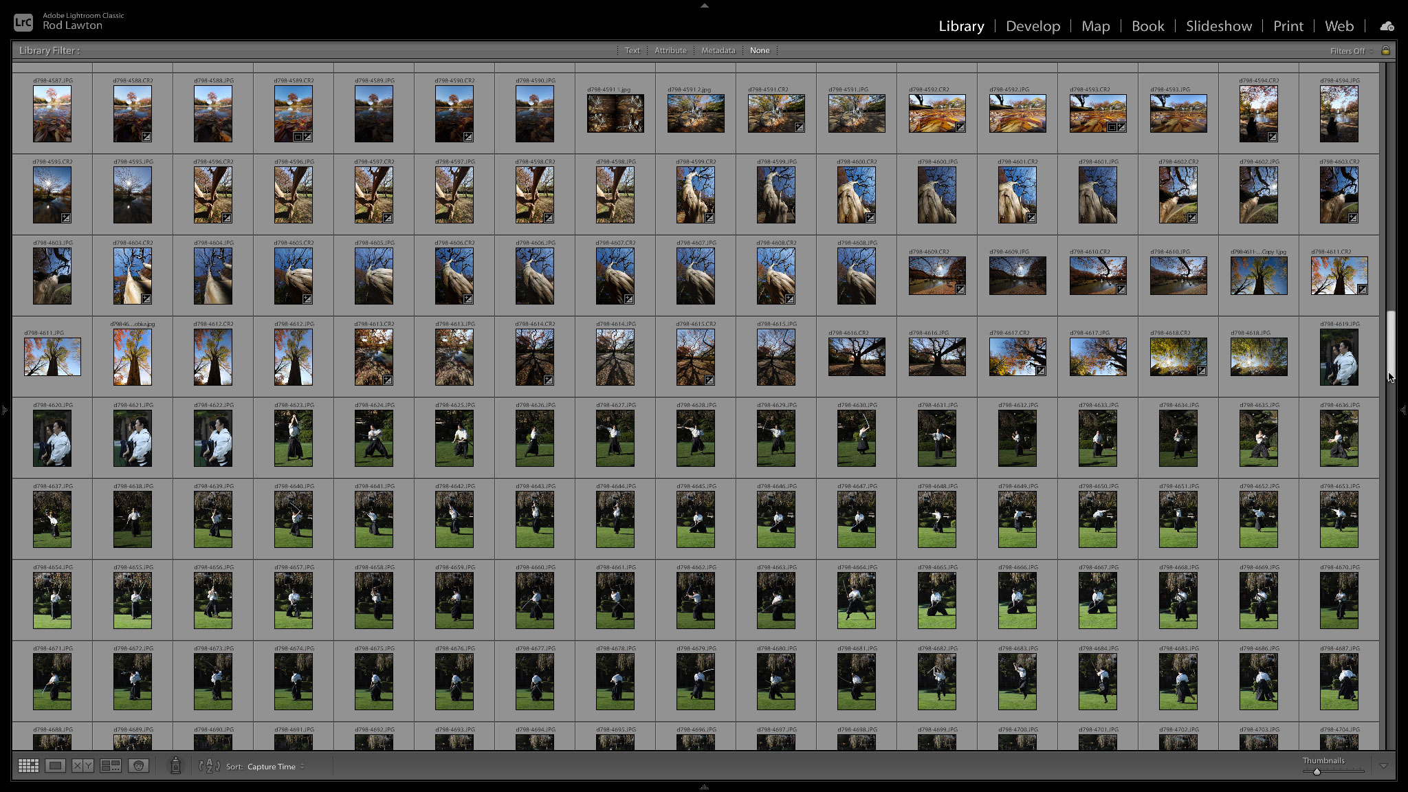 How to cull images part 1: Culling anxiety, and how to get around it ...