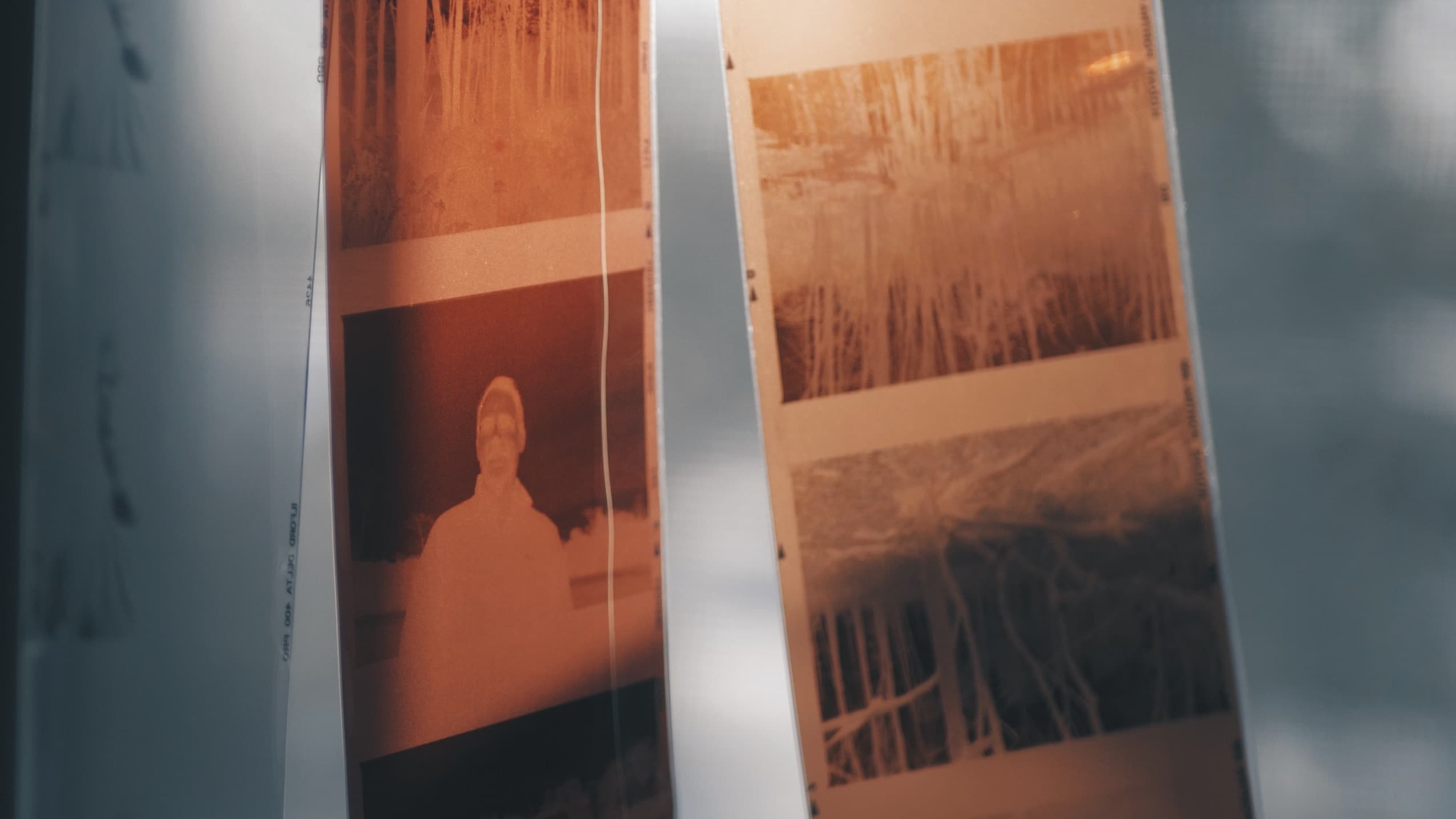 Why calling RAW files ‘digital negatives’ is only half right - Life ...