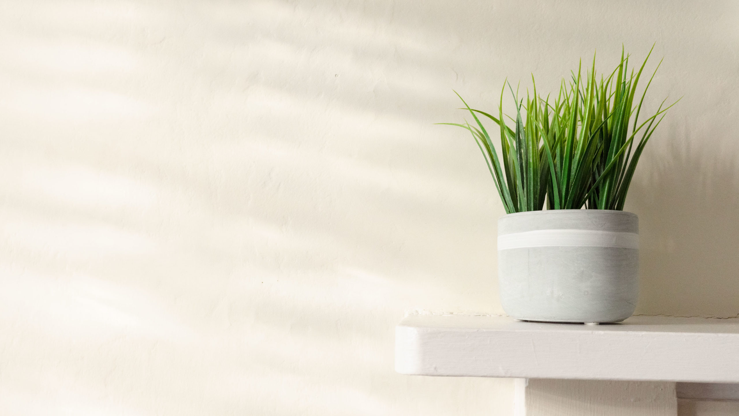 When to use a high key look and how to create it with curves - Life ...